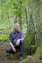 „Alles, was wir tun, machen wir für die Menschen“ - BÄUME FÜR NÜRNBERG ...