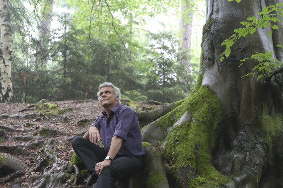 „Alles, was wir tun, machen wir für die Menschen“ - BÄUME FÜR NÜRNBERG ...