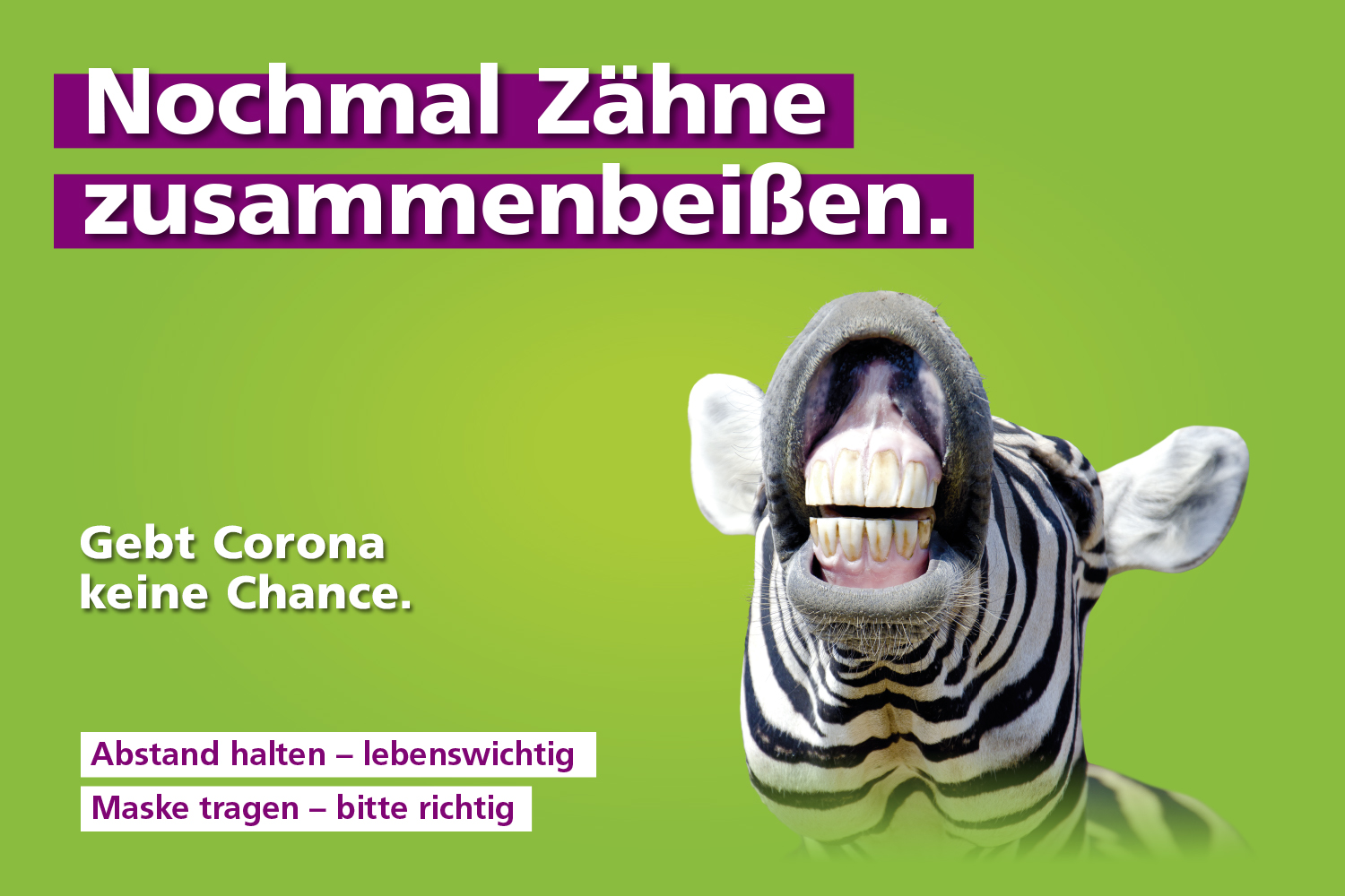 BÄRiges Frühlingskino – VERA & NANUQ – 05 2020 – 01 – Einfach EISBÄR BÄRiges Frühlingskino – VERA & NANUQ – 05 2020 – 01 – Einfach EISBÄR