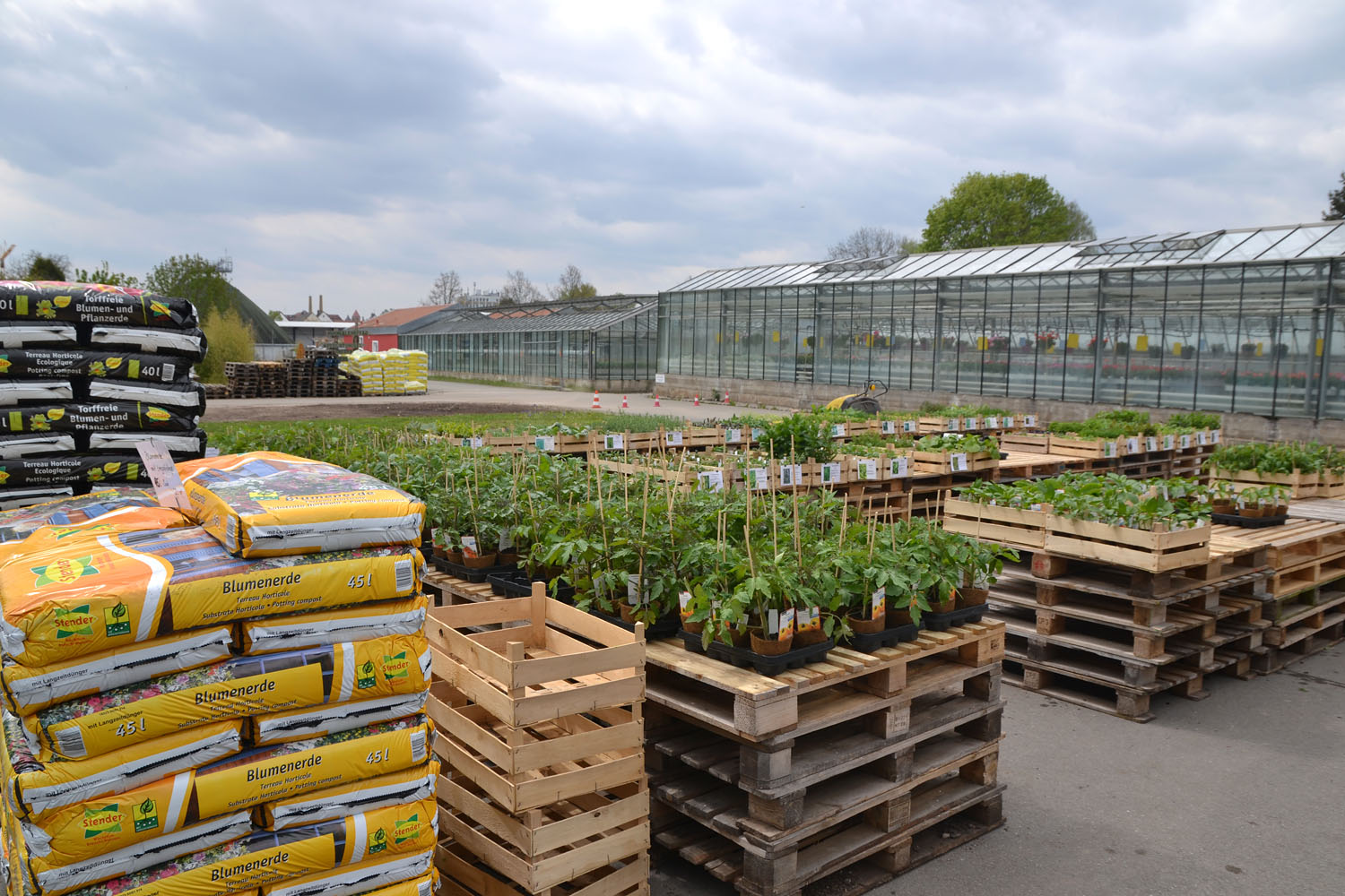 Noris Inklusion: Bio-Kräuter, Blumen und Begegnungen – Nürnberg – deine ...