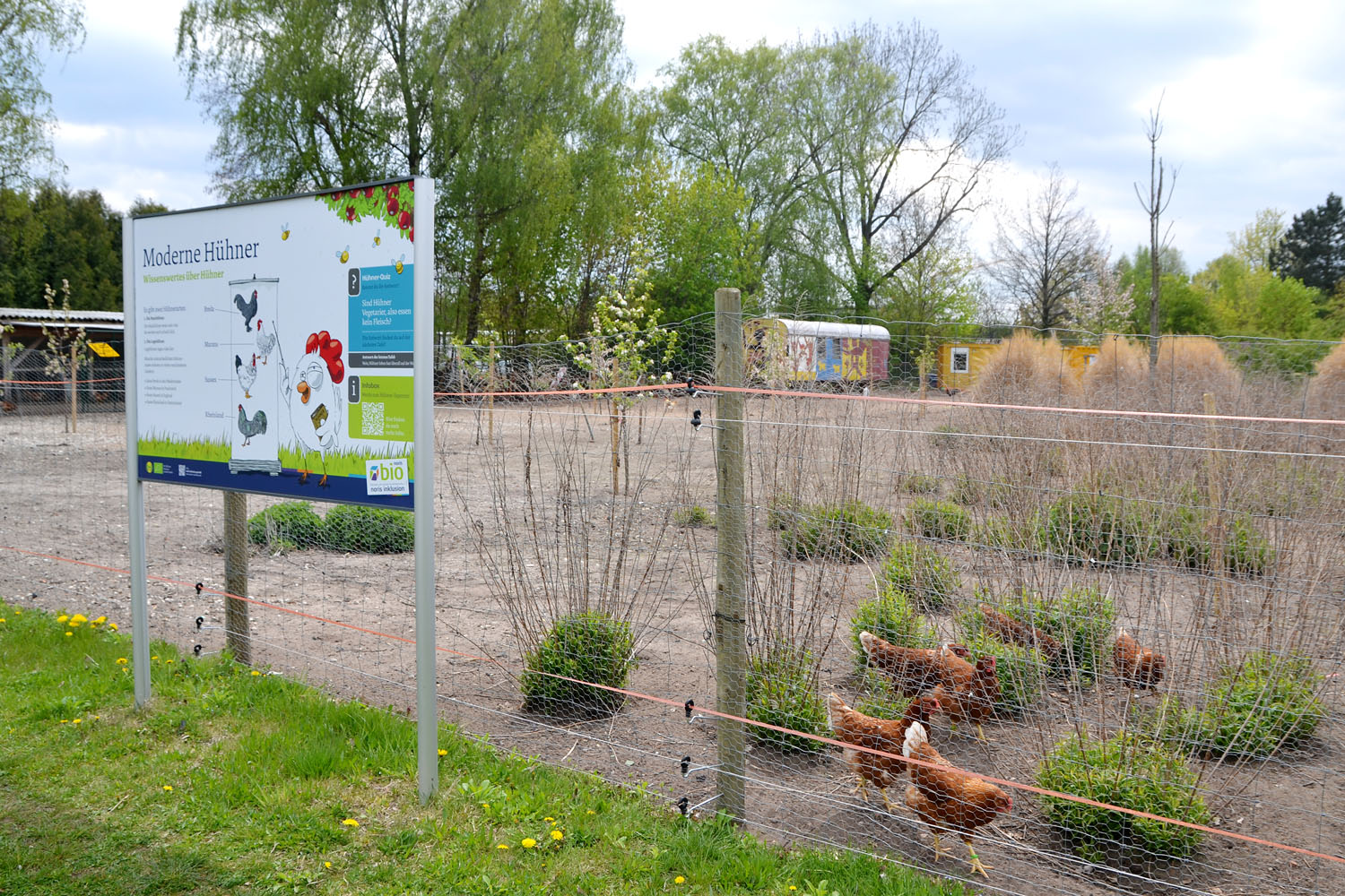 Noris Inklusion: Bio-Kräuter, Blumen und Begegnungen – Nürnberg – deine ...